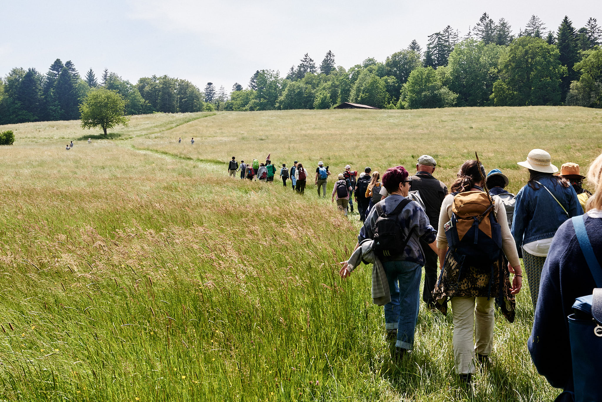 Paisagens Partilhadas: na natureza, sós e acompanhados | Destaques ...